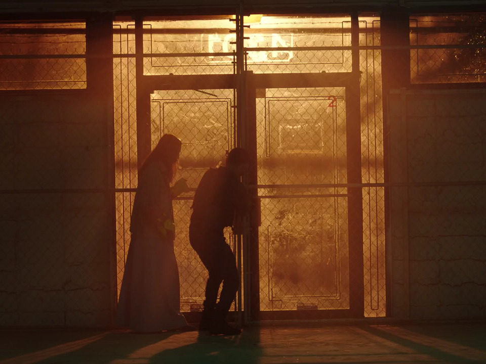 Prime Video: The Purge