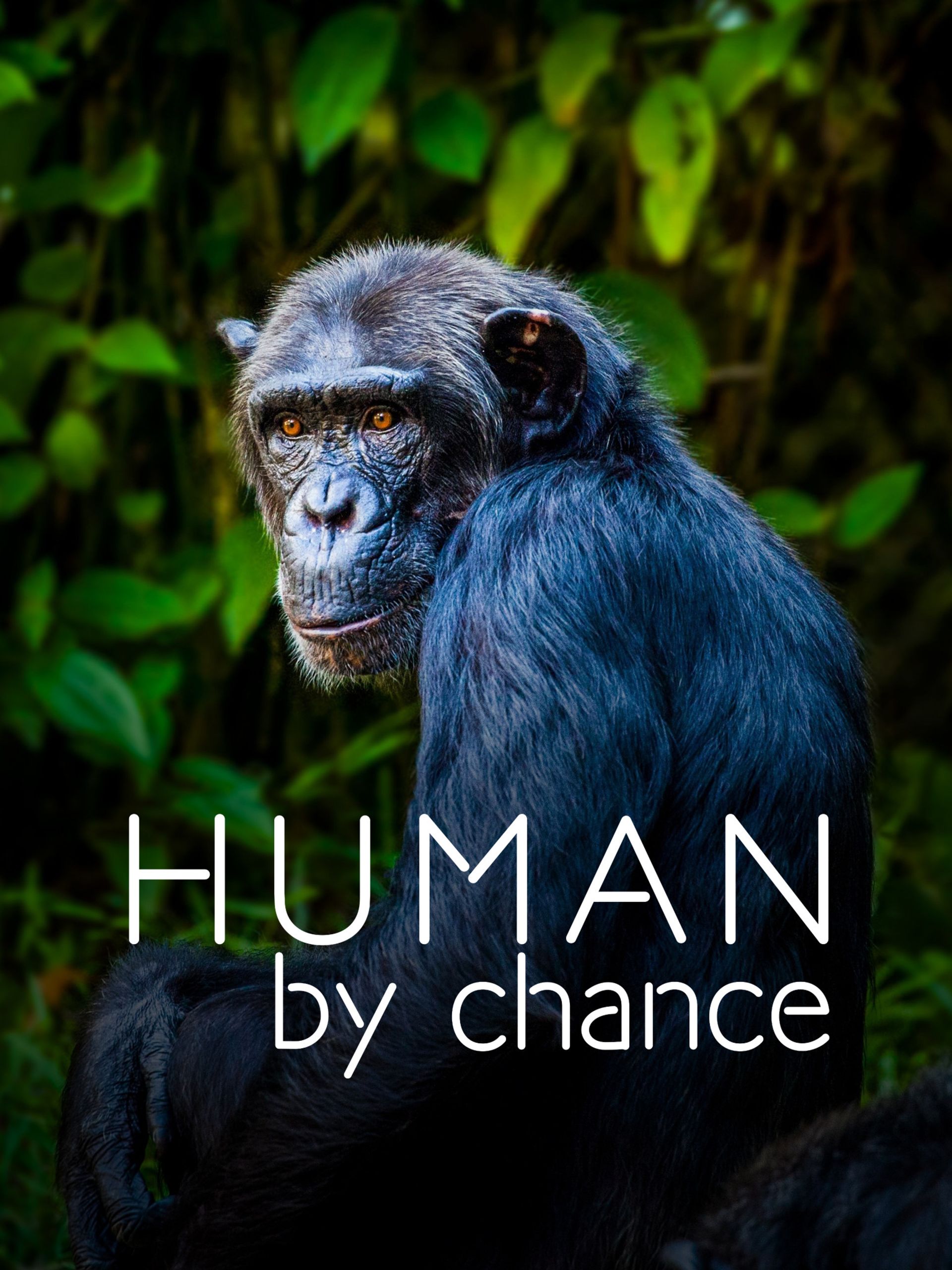 Prime Video: Human By Chance?