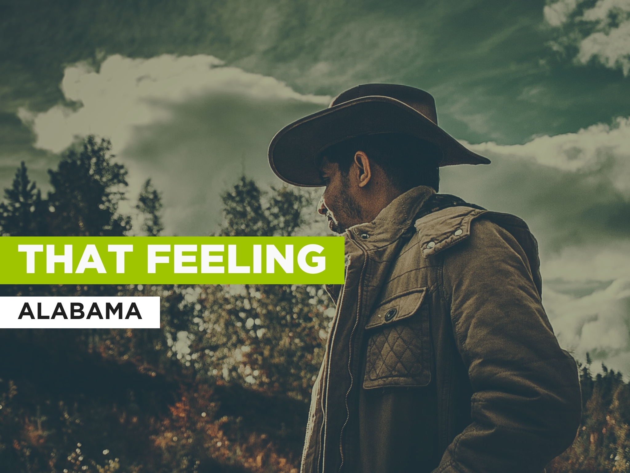 Prime Video: That Feeling in the Style of Alabama