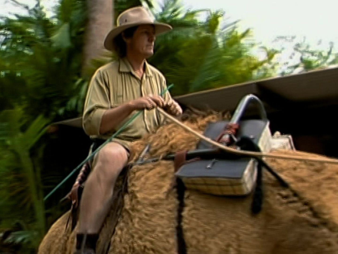 Prime Video: Crocodile Hunter Diaries - Season 2