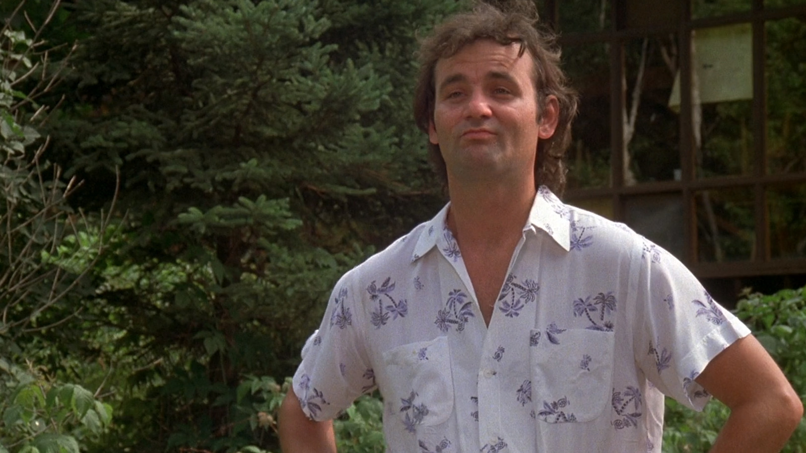 Prime Video: Meatballs