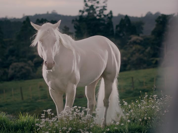 Watch Mystic Season 1 | Prime Video