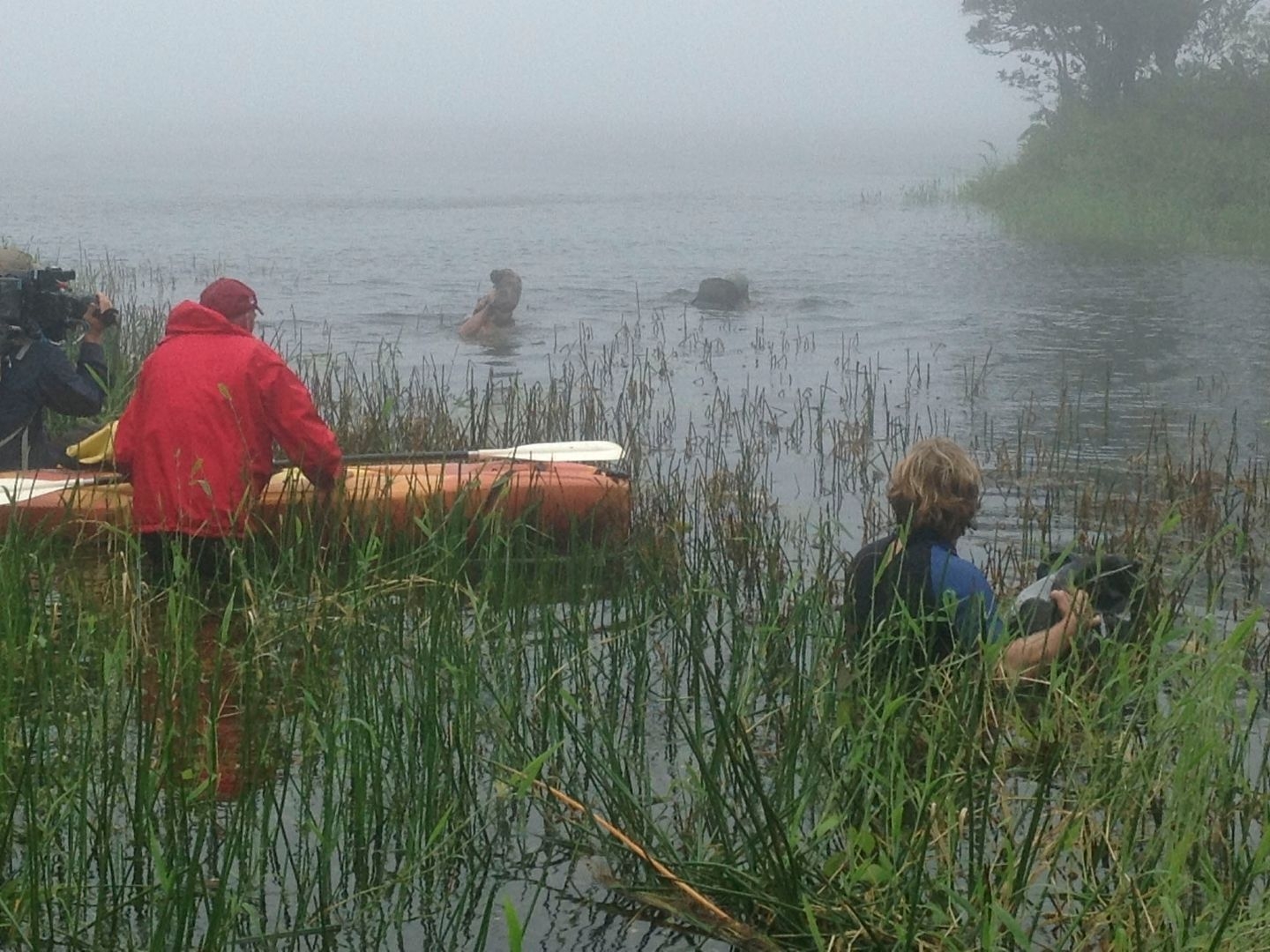 Prime Video: Desafio em Dose Dupla - Season 5