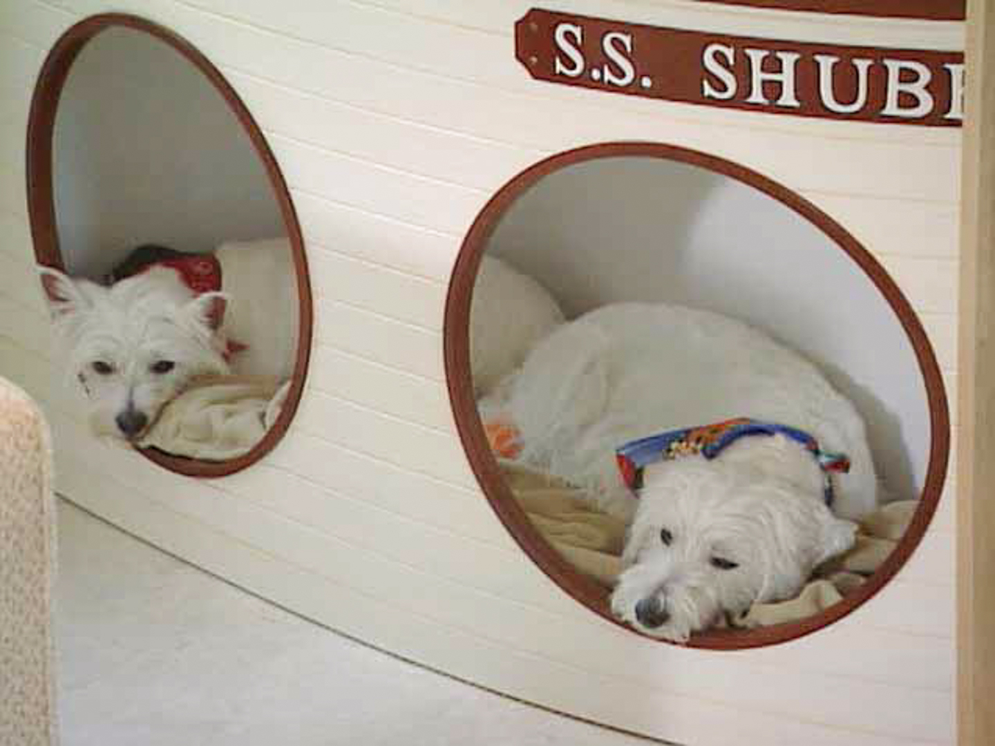 Prime Video: Designers' Challenge - Season 17