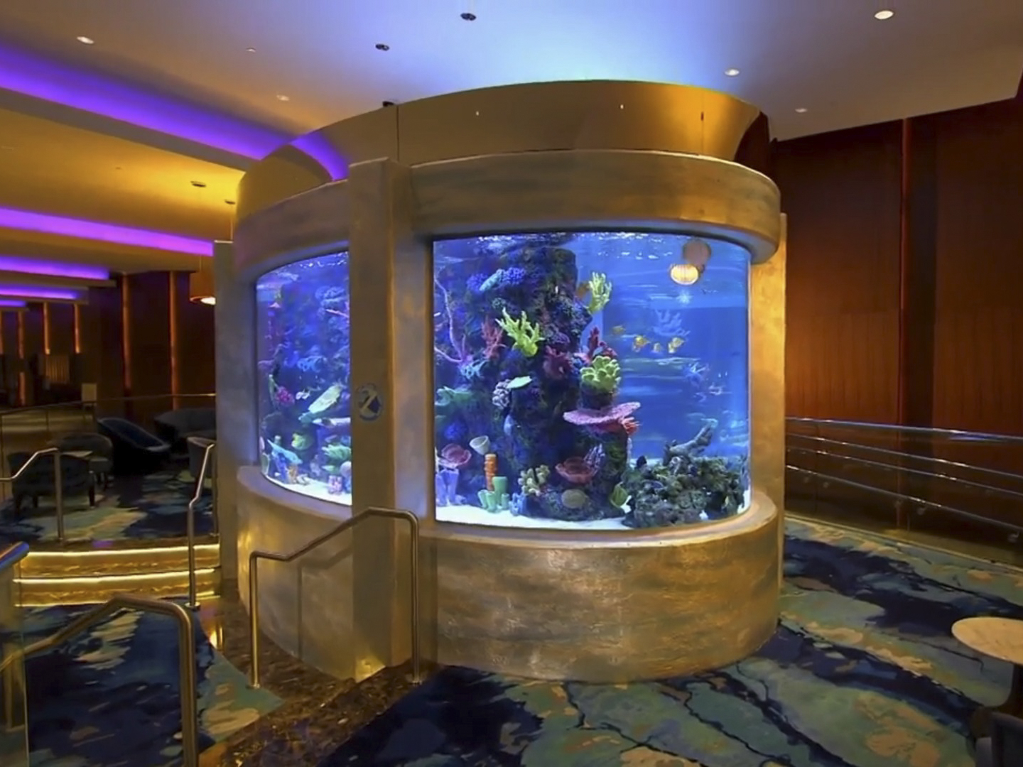 Prime Video: Tanked - Season 8