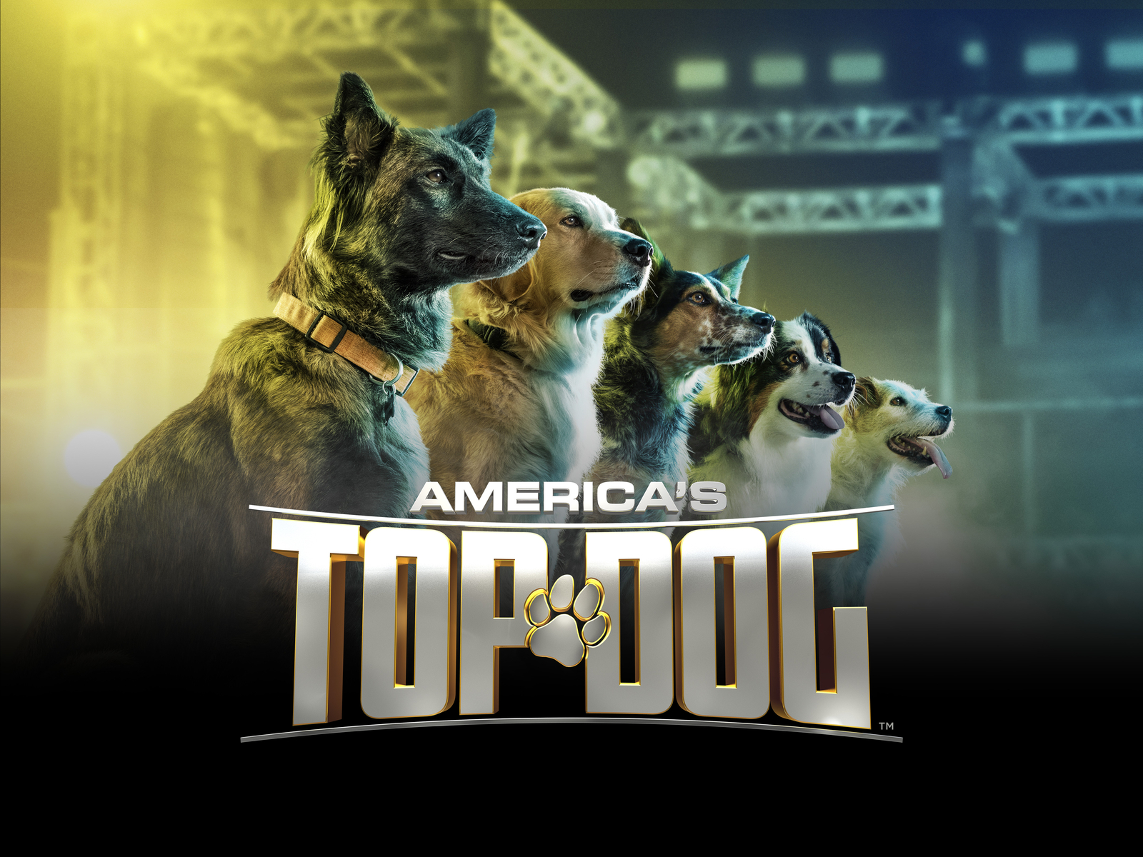 Prime Video: America's Top Dog - Season 3