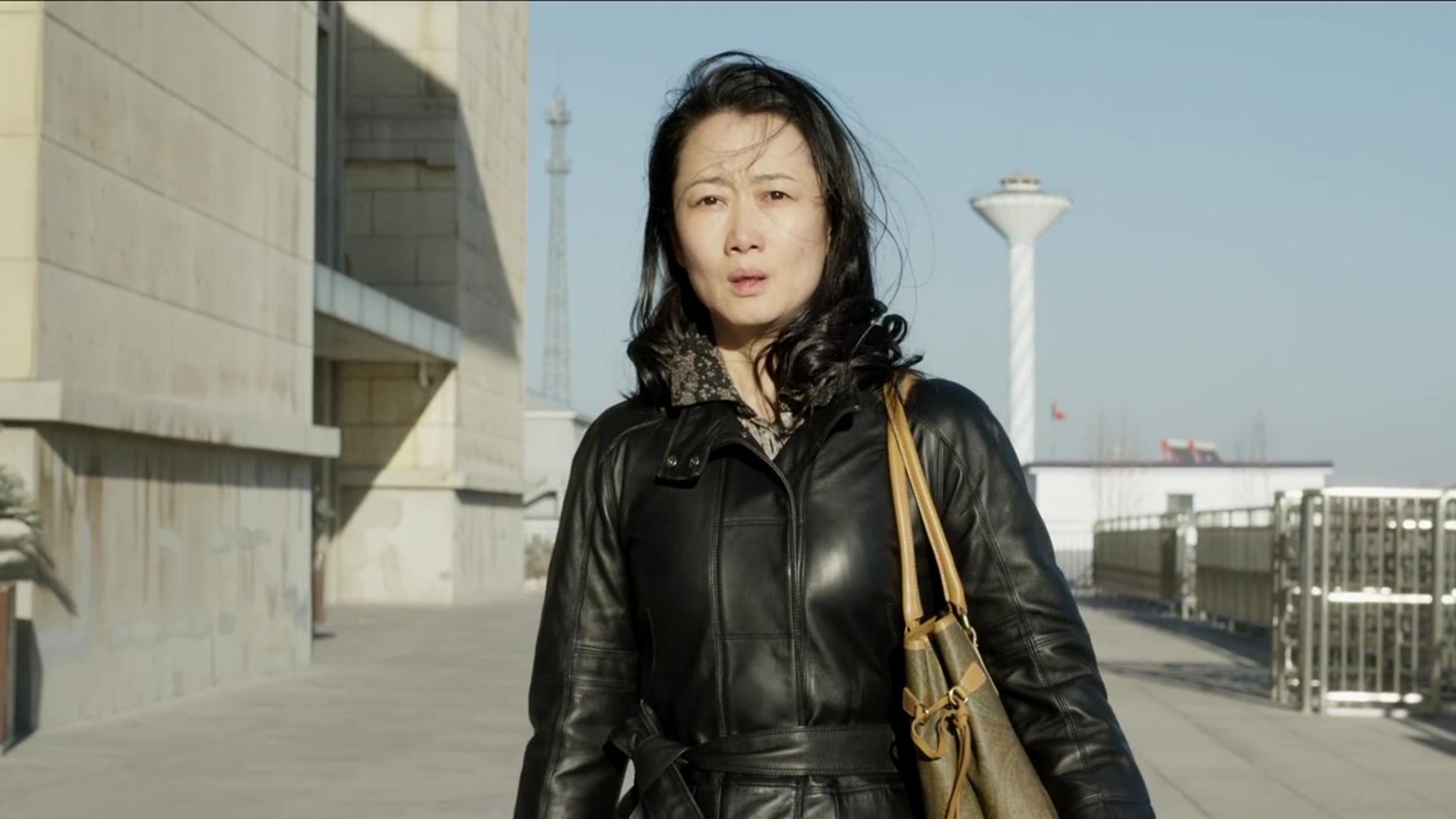 Watch Ash Is Purest White | Prime Video