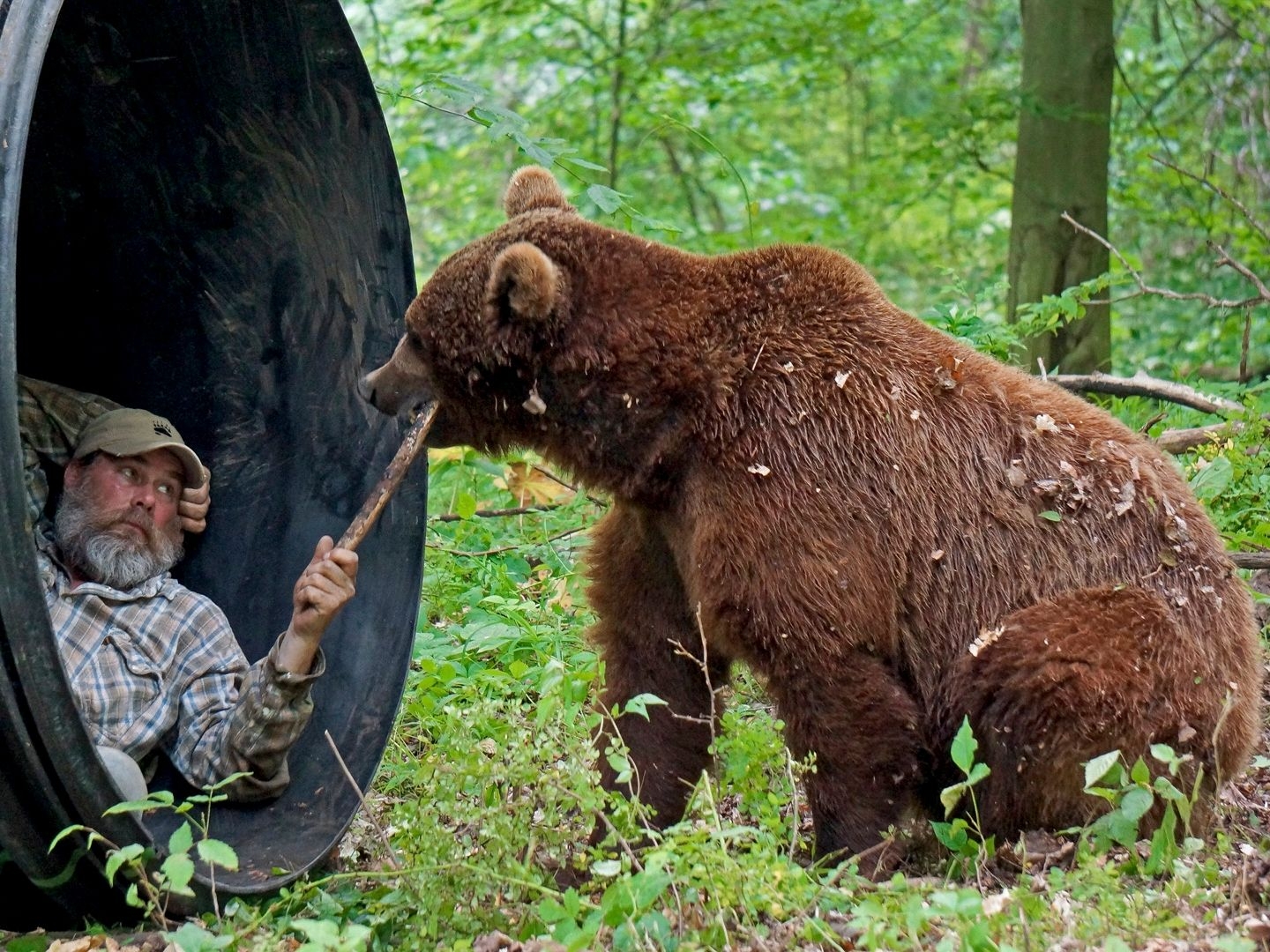 Prime Video: Project Grizzly - Season 1