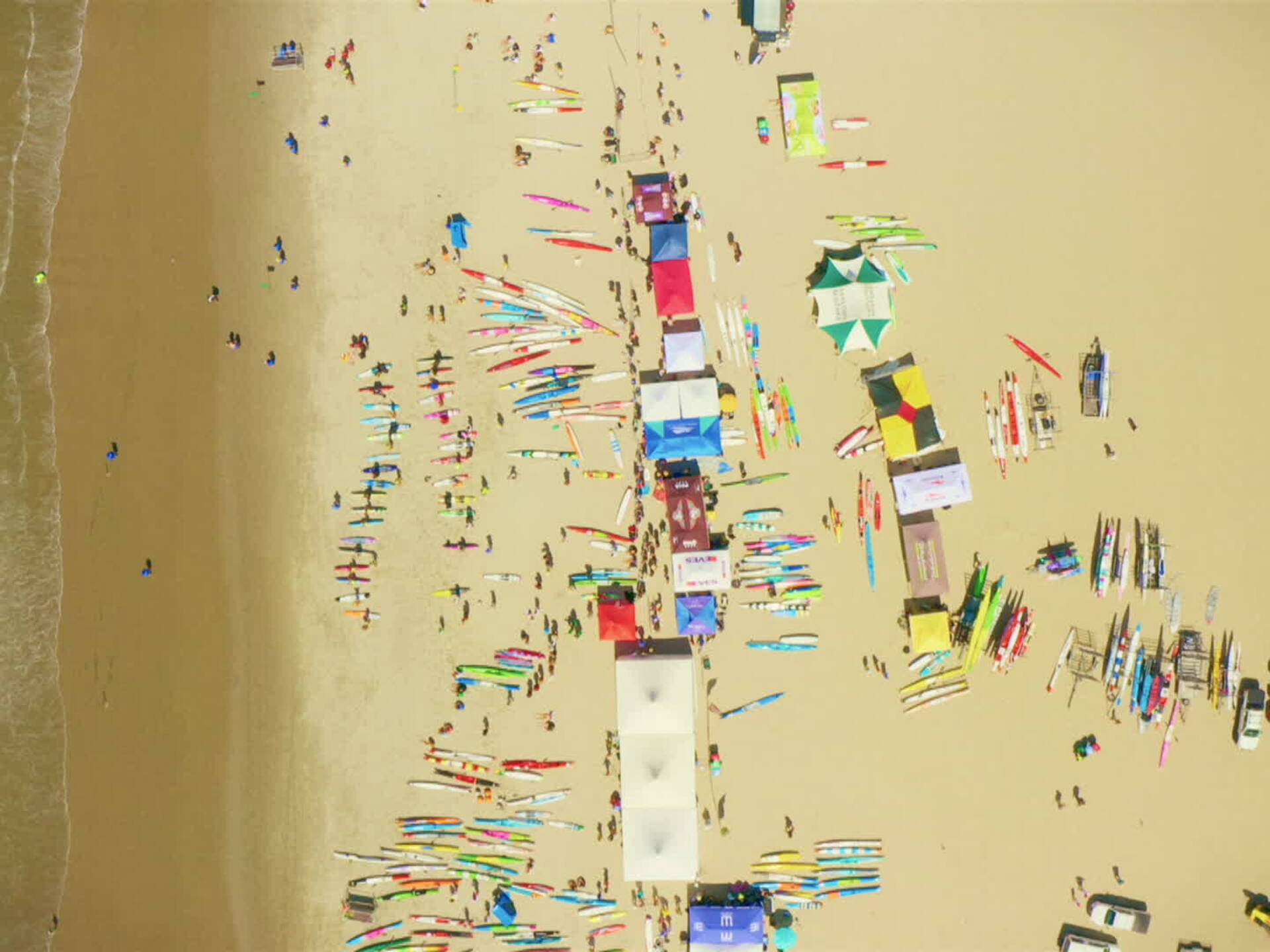 Prime Video: Bay Patrol - Season 1