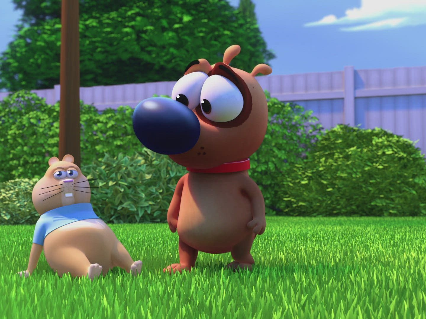 Prime Video: Pat the Dog - Season 2