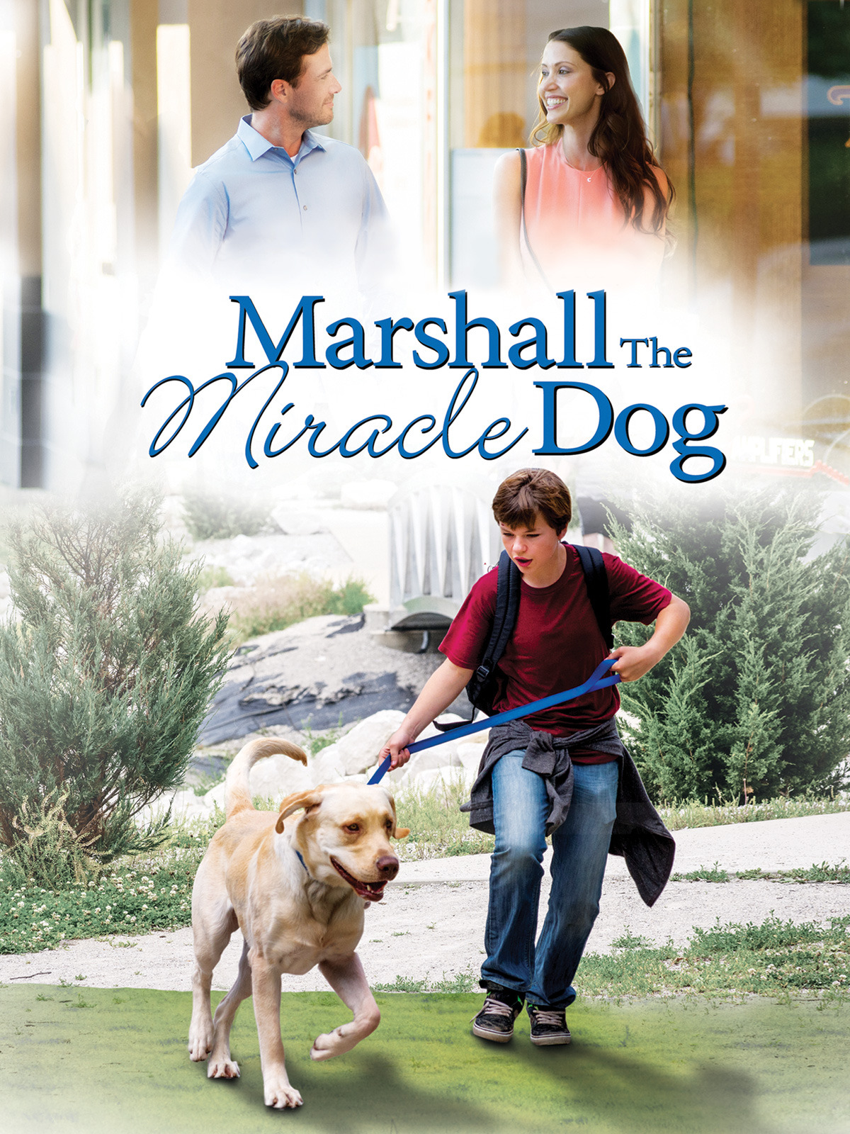 Prime Video: Marshall The Miracle Dog