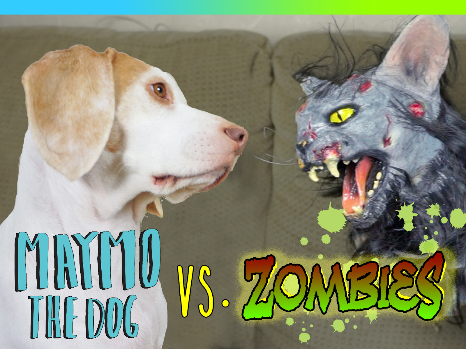 Prime Video: Maymo The Dog vs. Zombies