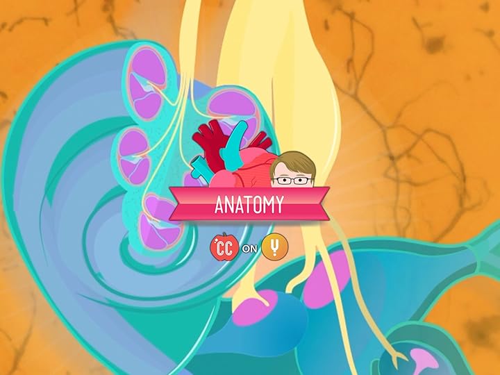 Prime Video: Crash Course: Anatomy & Physiology - Season 1