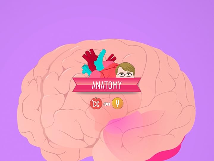 Prime Video: Crash Course: Anatomy & Physiology - Season 1