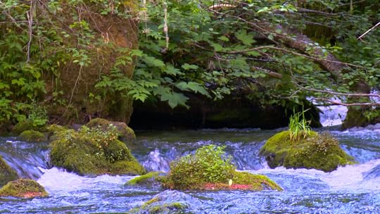 Amazon.com: Watch A Magical Stream | Prime Video