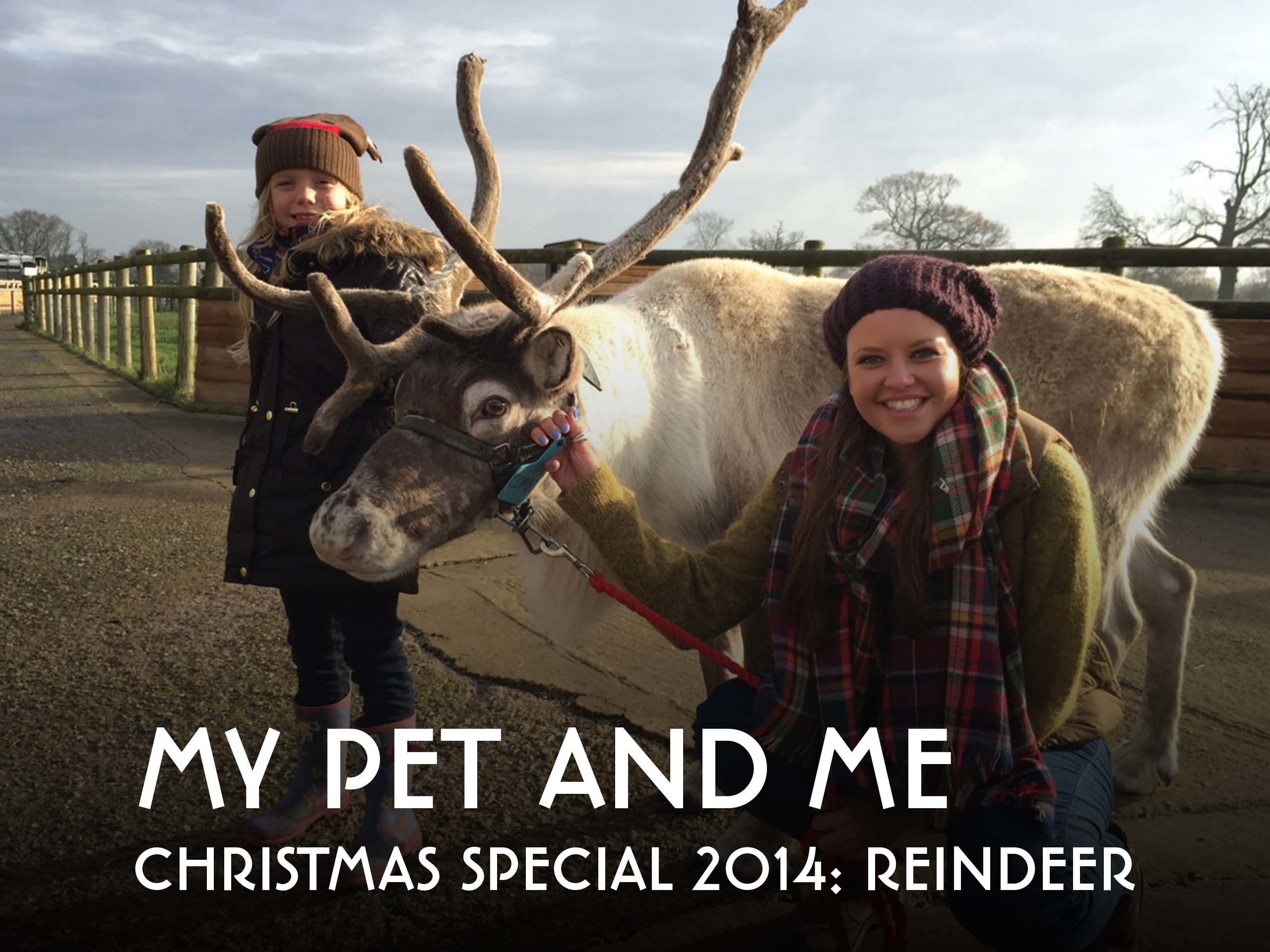 Prime Video: My Pet And Me - Christmas Special 2014 : Reindeer