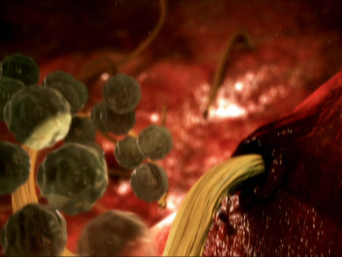 Prime Video: Monsters Inside Me - Season 2