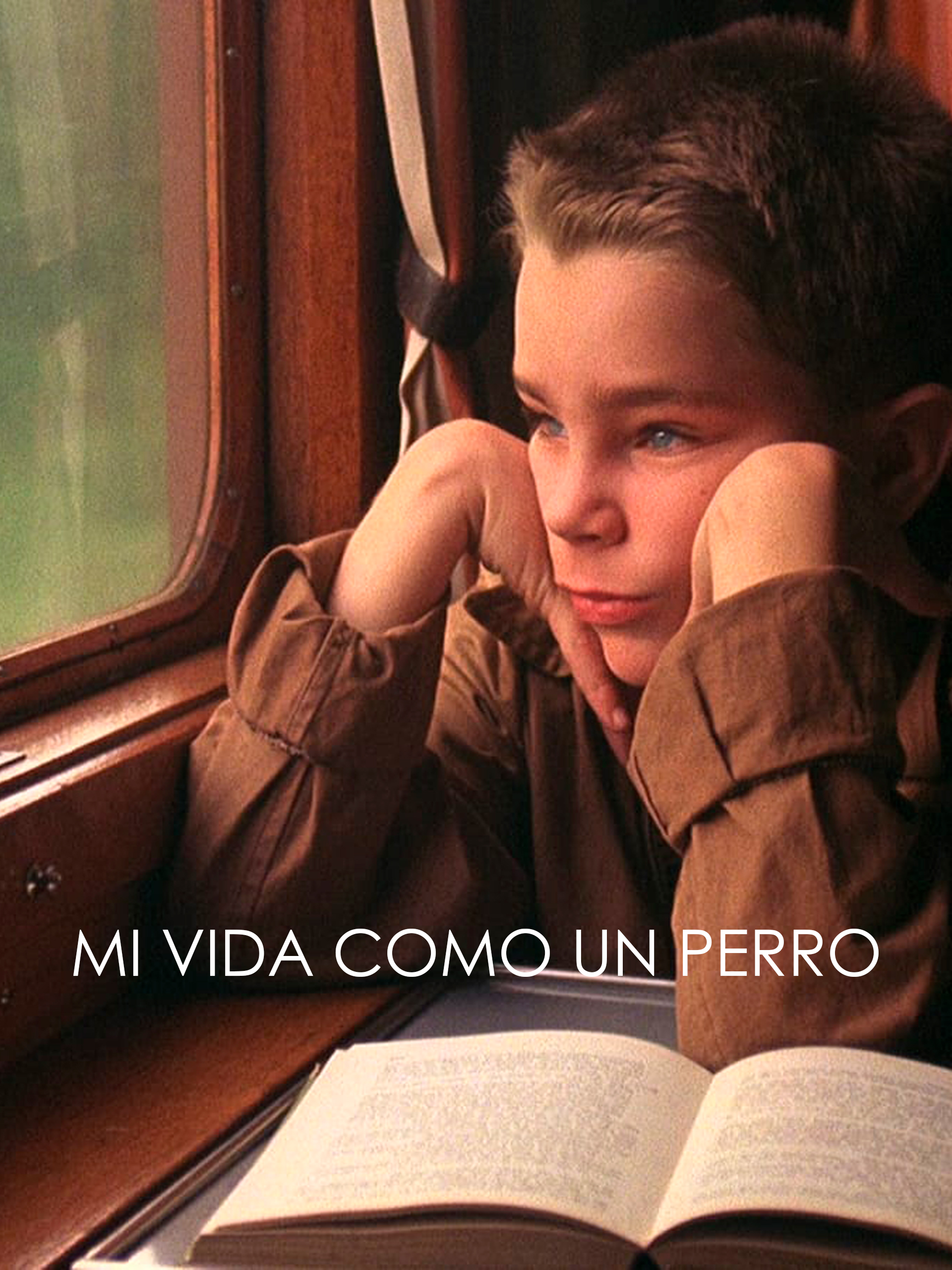 Prime Video: Mi vida como un perro