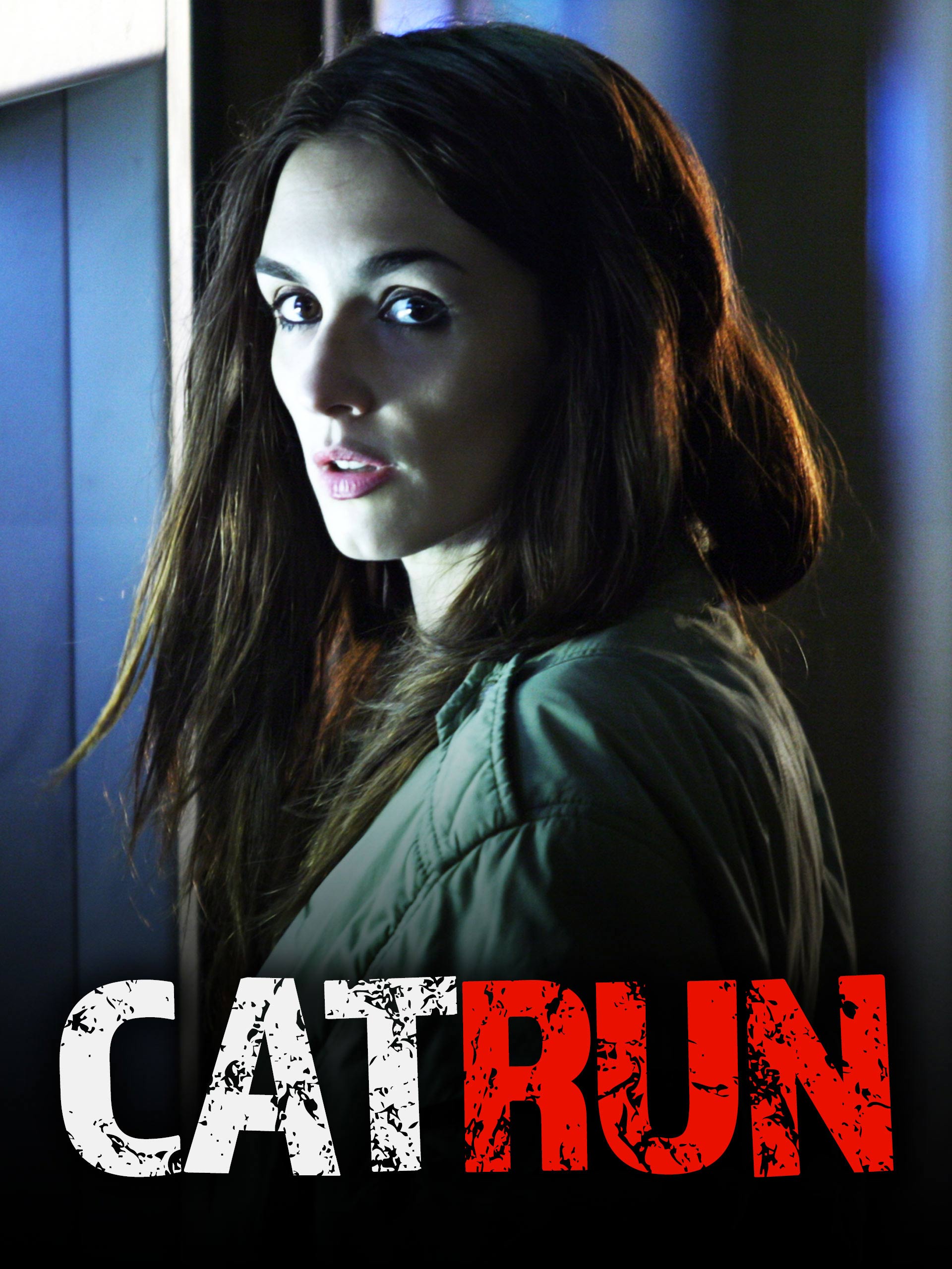 Prime Video: Cat Run