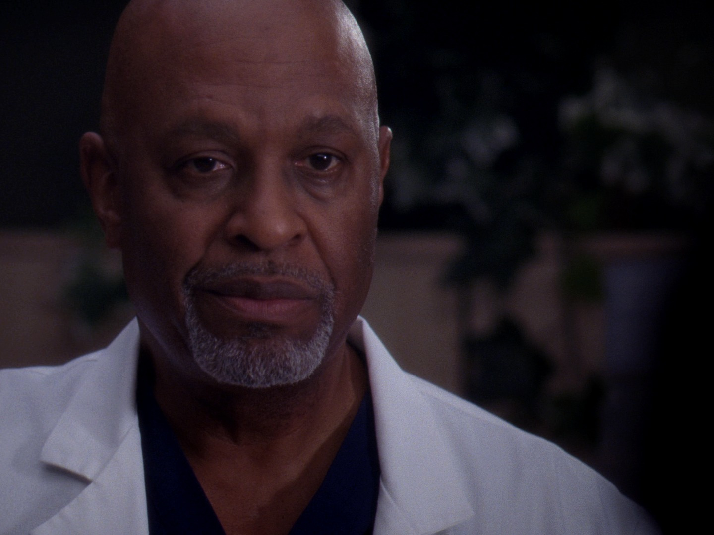 Prime Video: Grey's Anatomy - Season 10