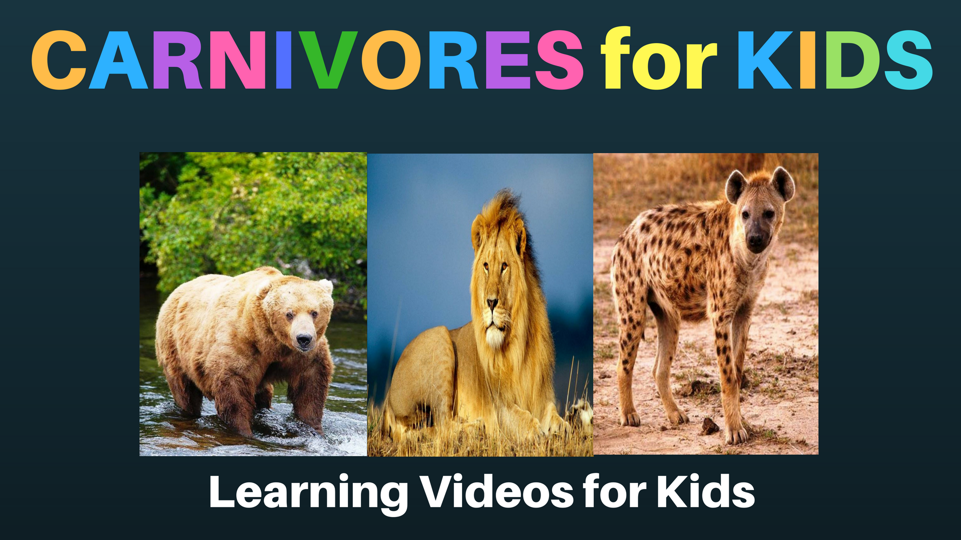 Watch Carnivores for Kids: Learning Videos for Kids | Prime Video