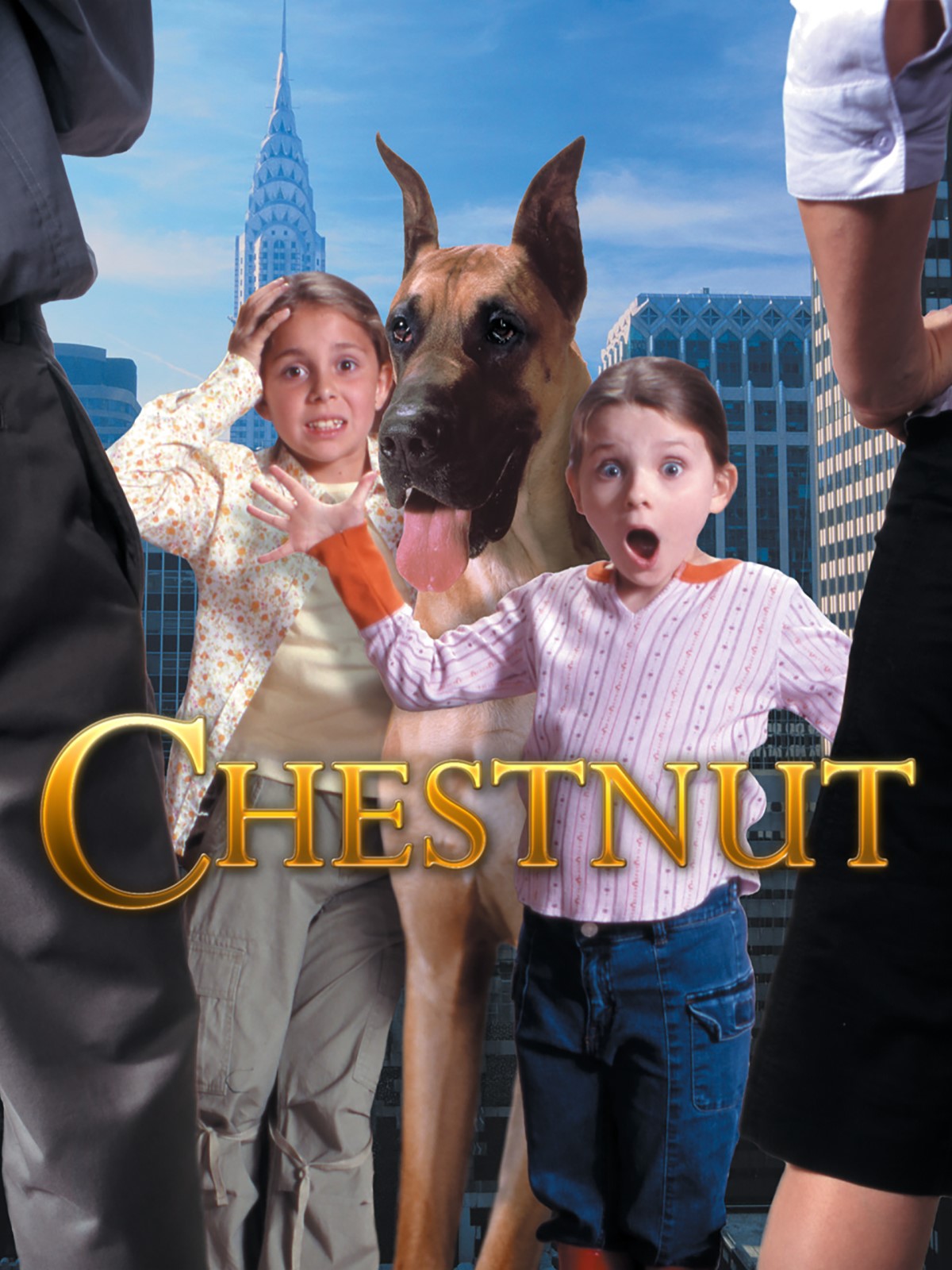 Prime Video: Chestnut