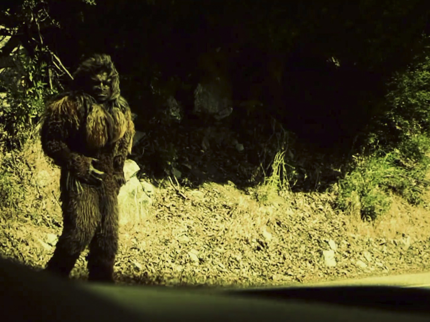 Prime Video: Finding Bigfoot - Season 9