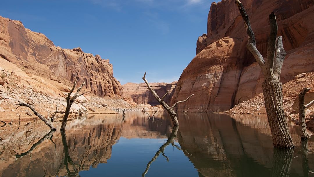 Amazon.com: Off the Grid : Jim Lamprose, Rooster Leavens, Joey McCumber ...