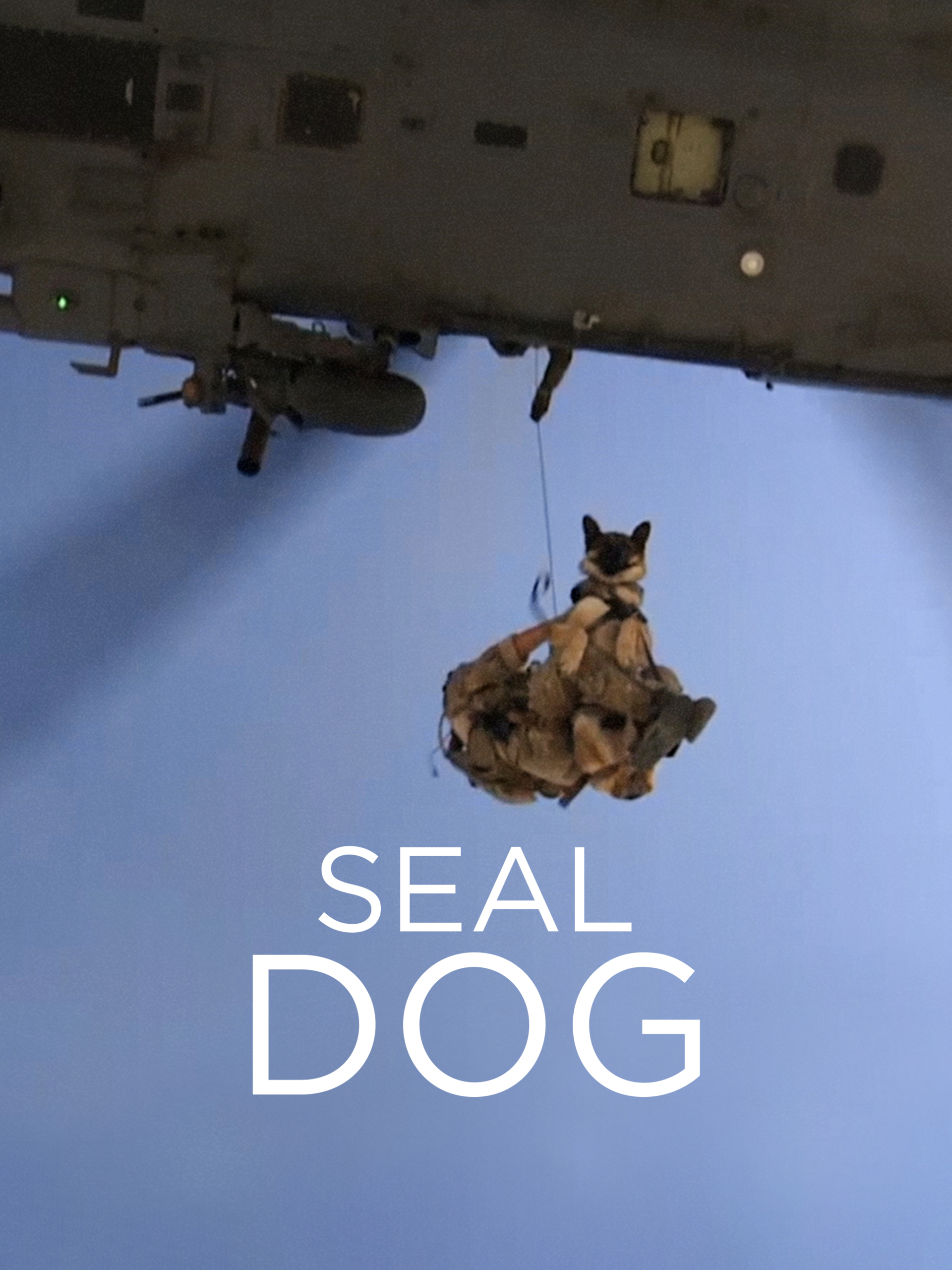 Prime Video: Seal Dog