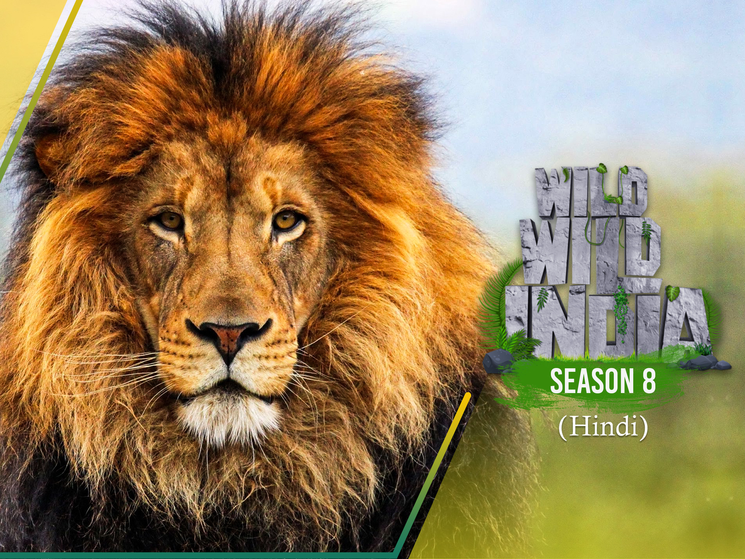 Prime Video: Wild Wild India Hindi