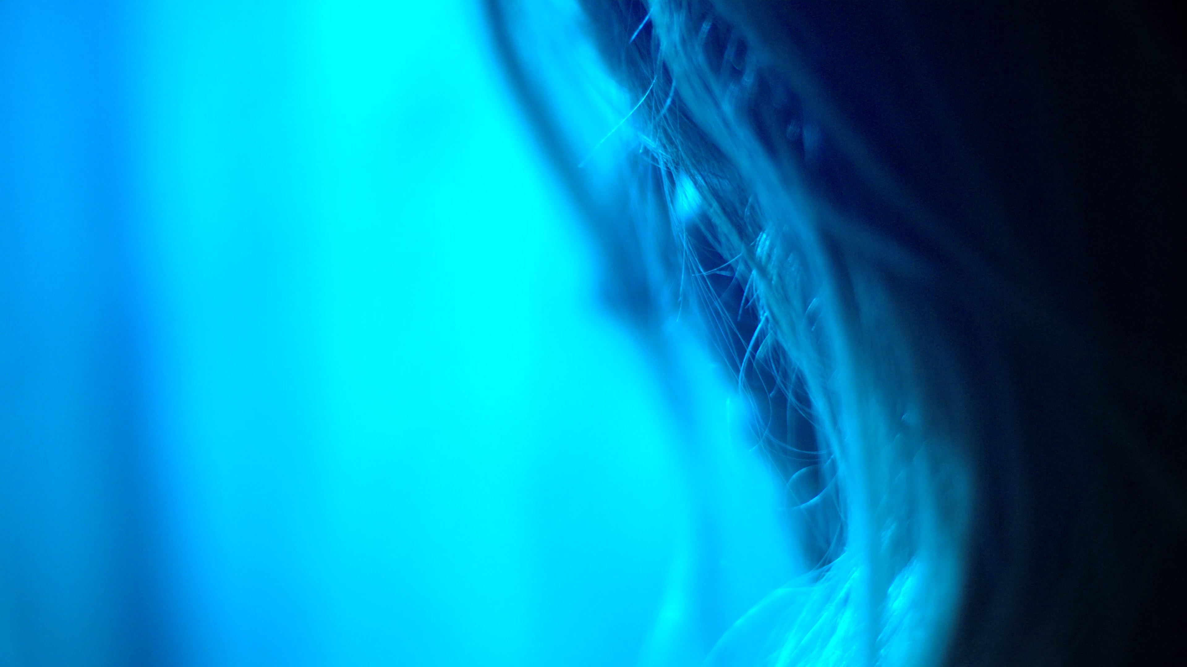 Watch A Pinprick of Light | Prime Video