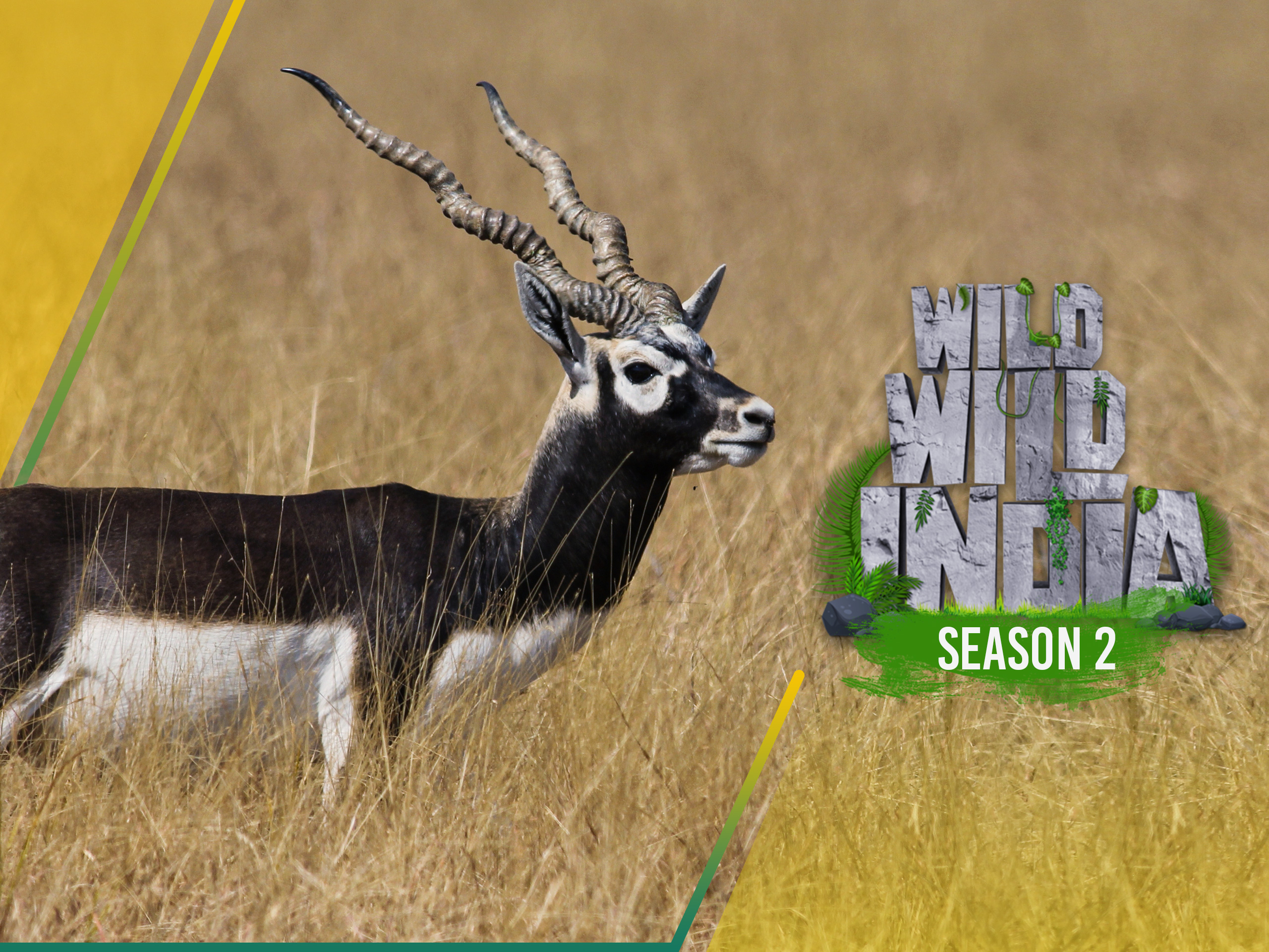 Prime Video: Wild Wild India