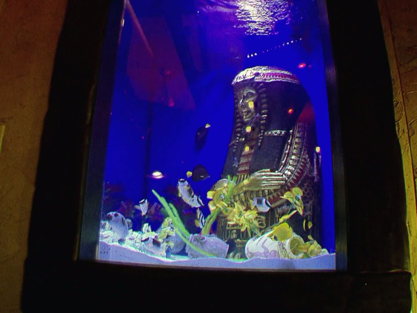 Prime Video: Tanked - Season 2