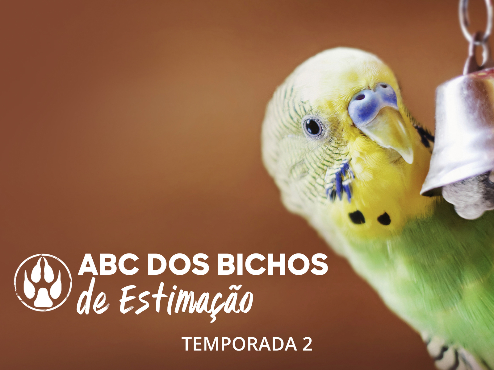 Prime Video: Pets 101 - Season 2