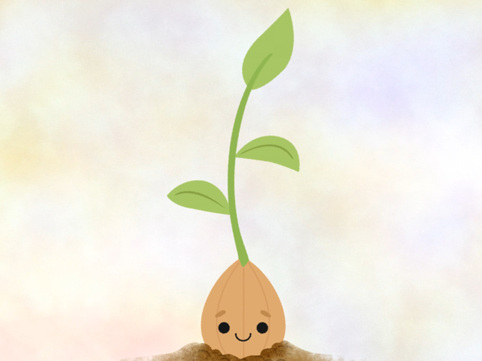 Prime Video: Toon Bops