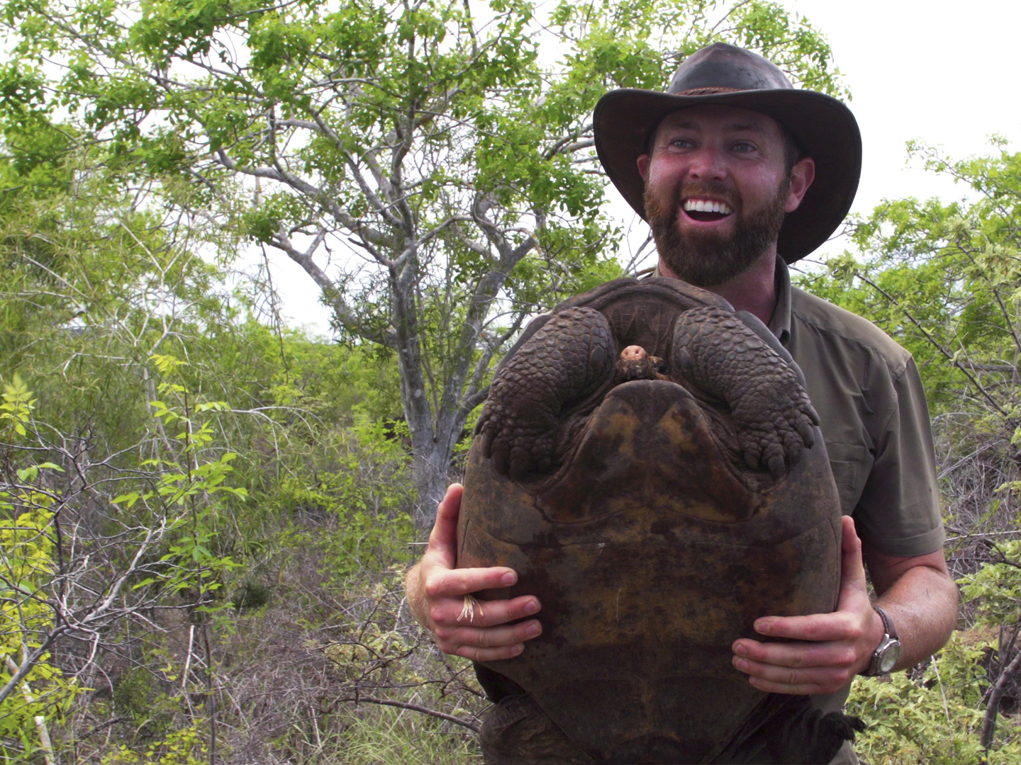 Prime Video: Extinct or Alive - Season 2