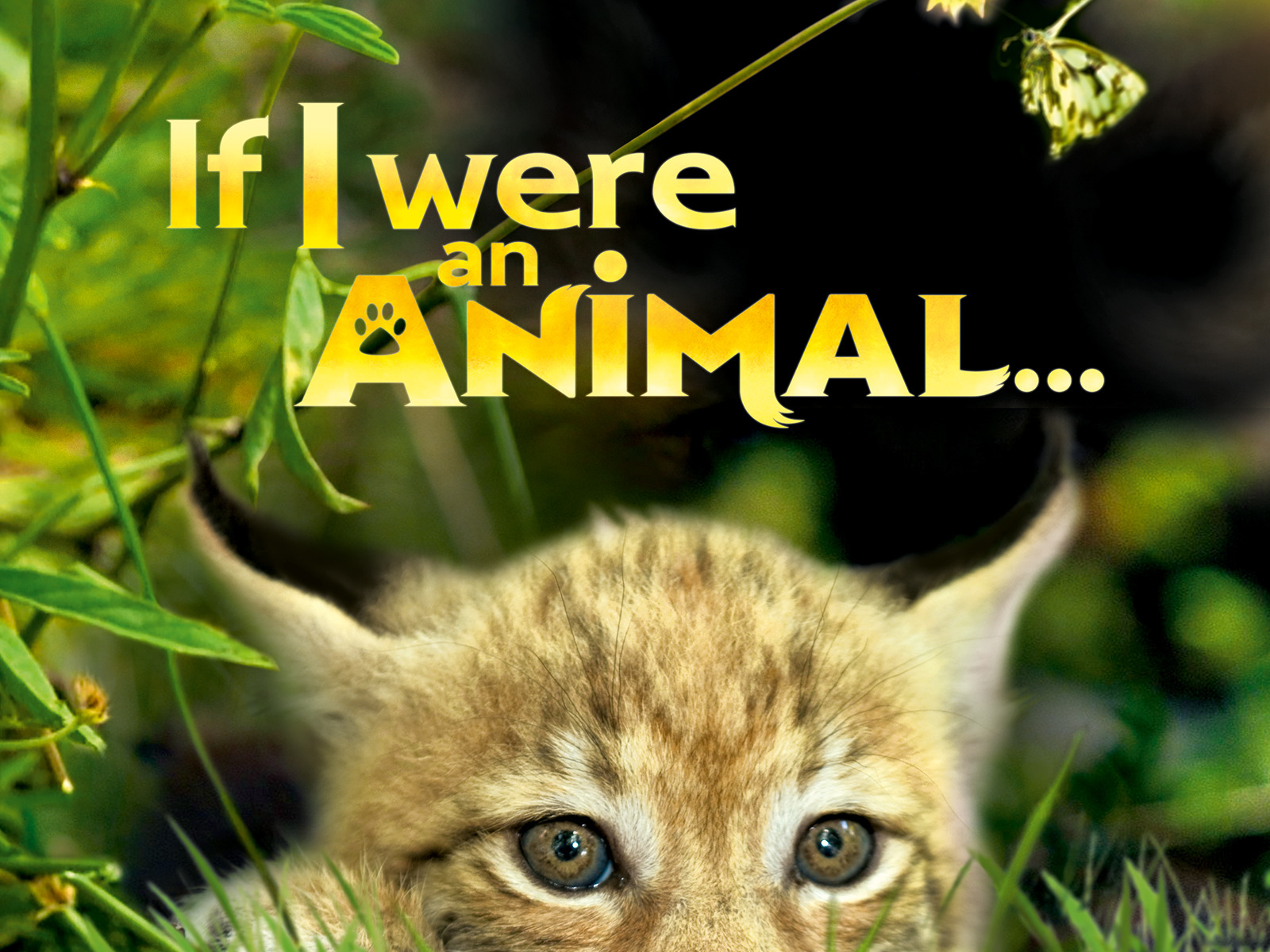 Prime Video: If I Were An Animal - Season 1