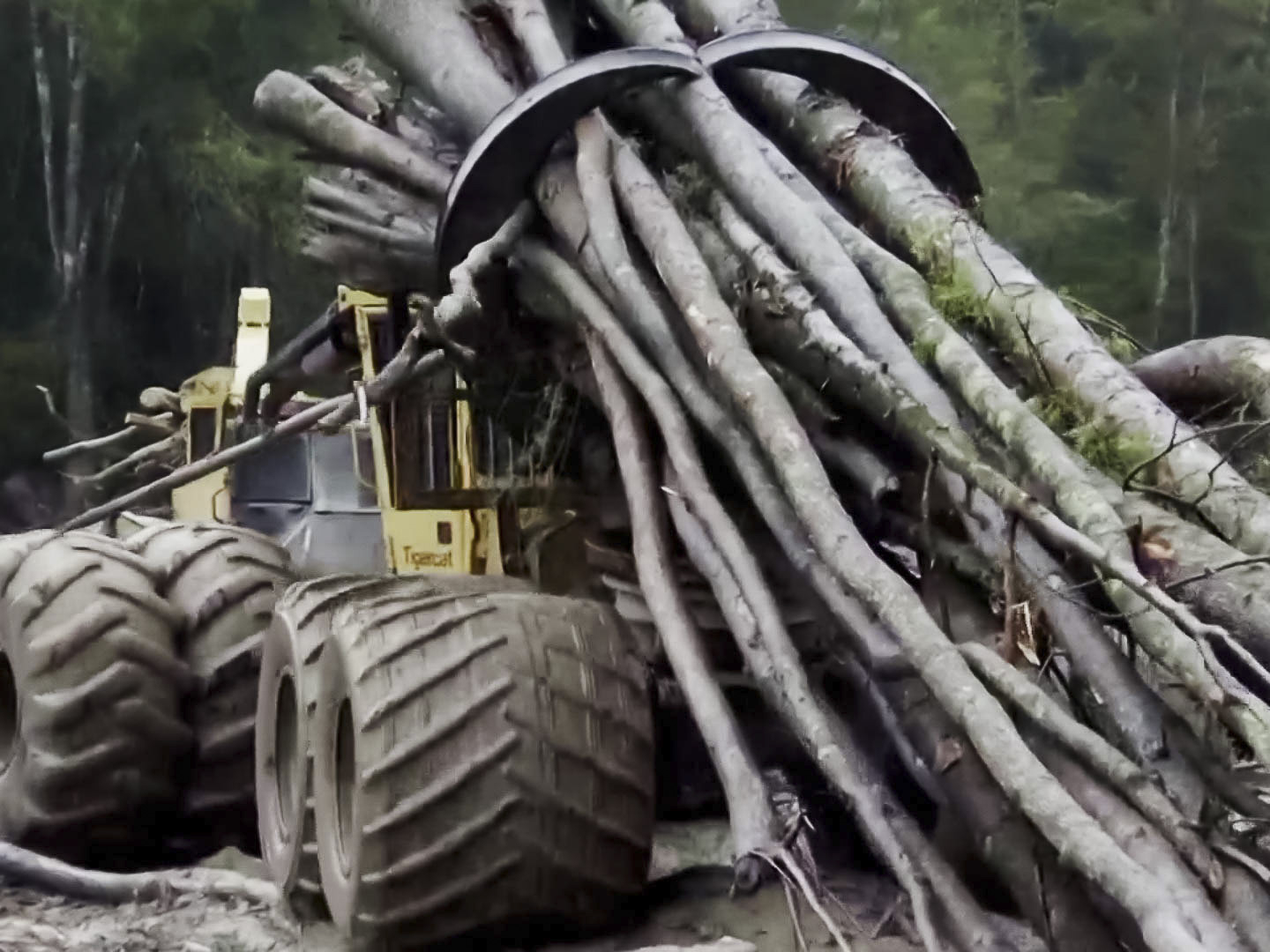 Prime Video: Swamp Loggers - Season 1