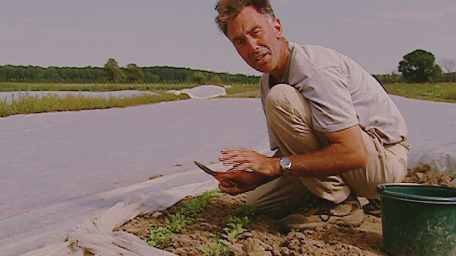 Prime Video: Manic Organic