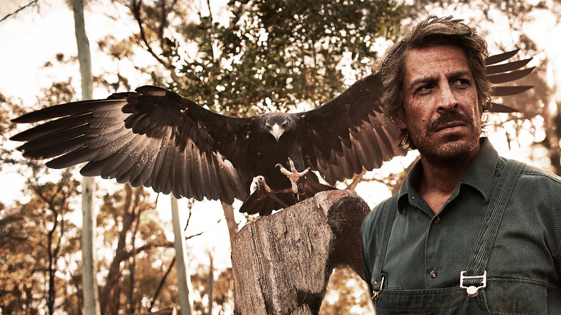 Prime Video: Healing