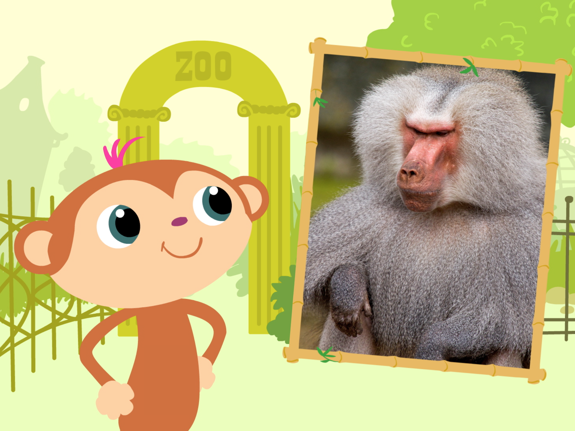 Prime Video: StoryZoo Adventures - Zoo