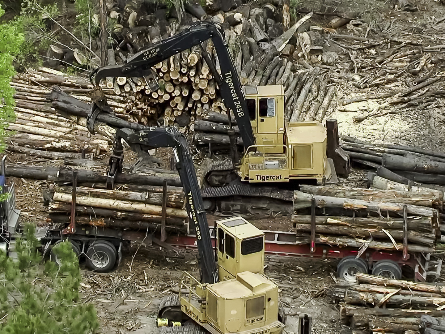 Prime Video: Swamp Loggers - Season 2