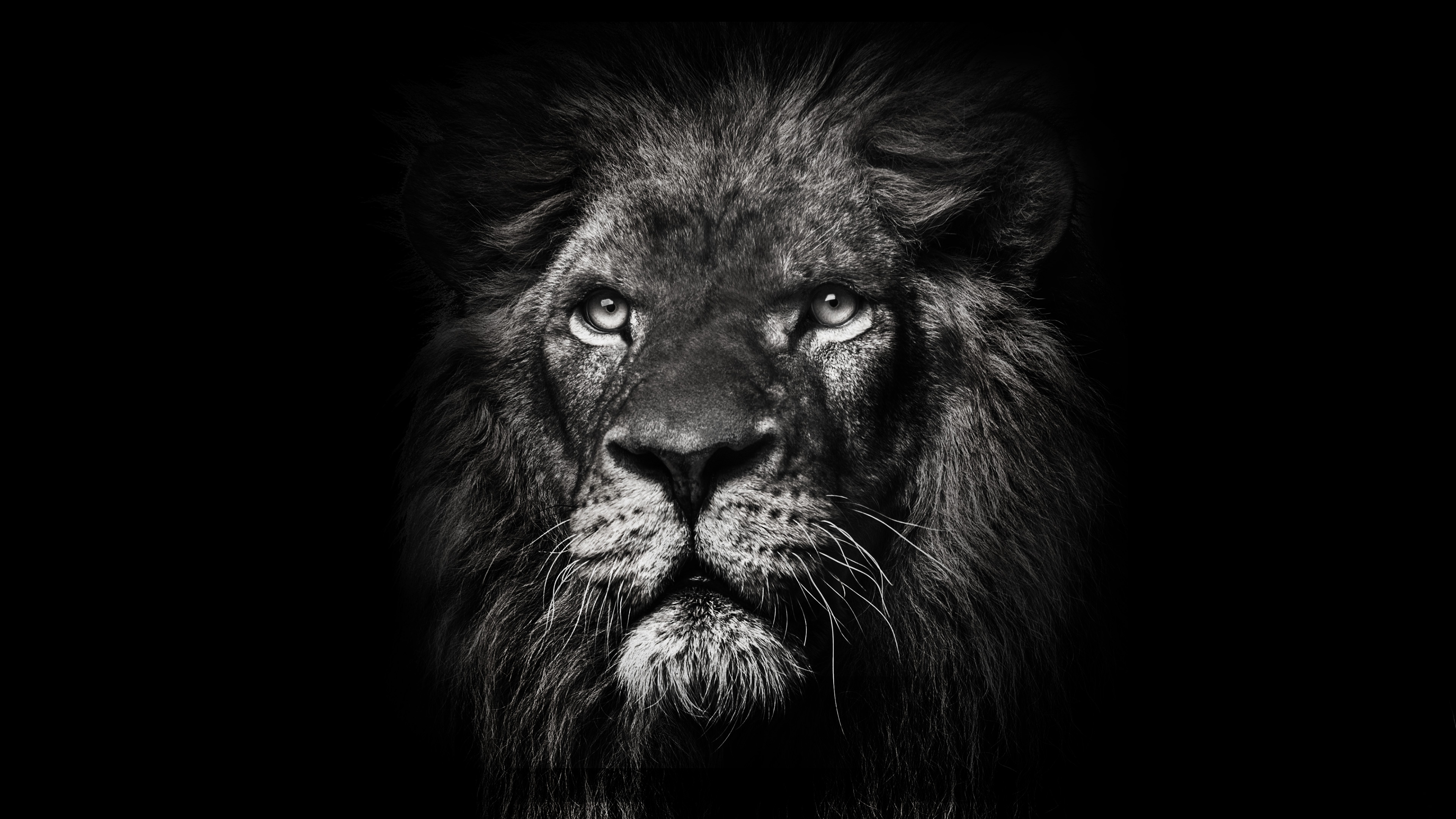 Prime Video: Roar: The Most Dangerous Movie Ever Made - Season 1