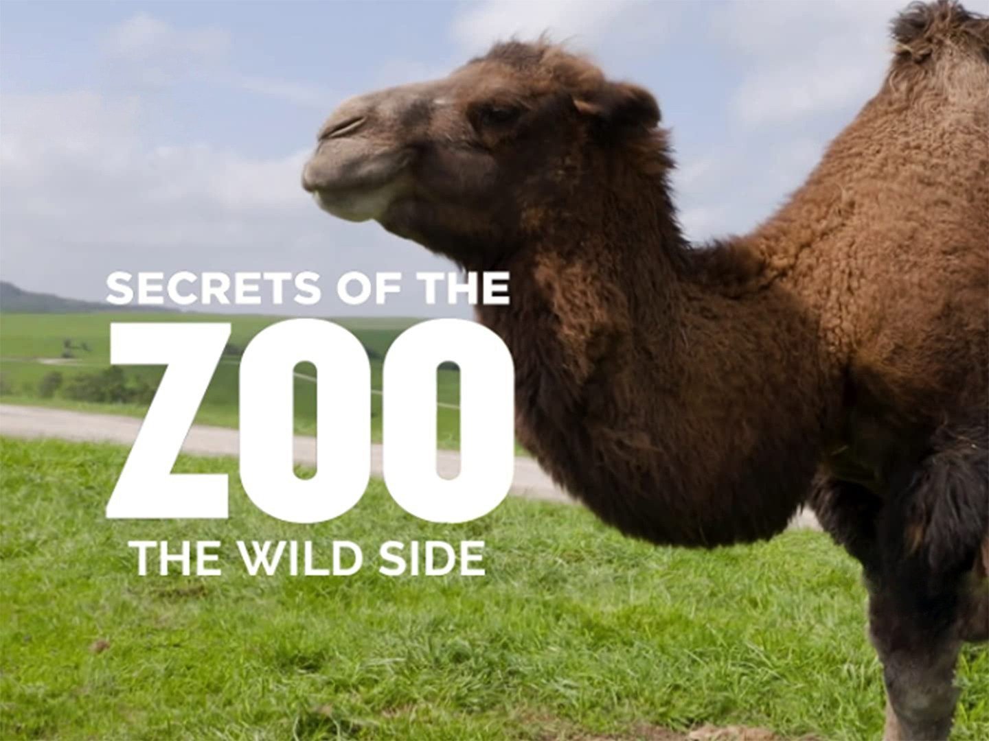 Prime Video: Season 2