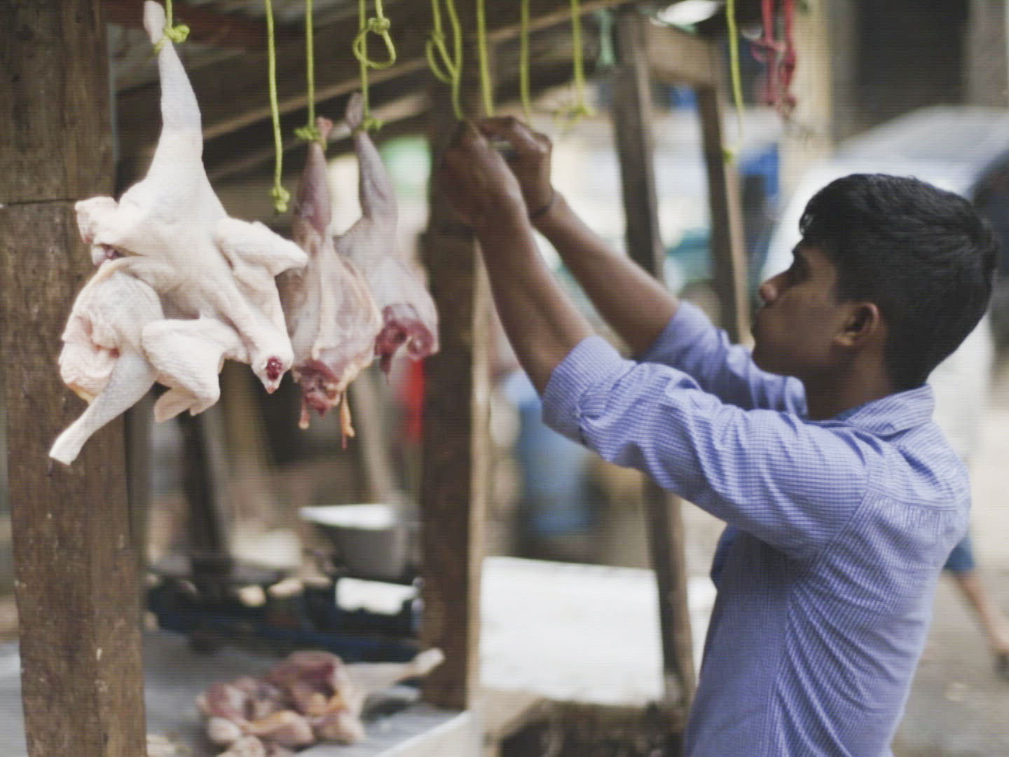 Prime Video: Raja Rasoi Aur Anya Kahaniyaan - Season 2