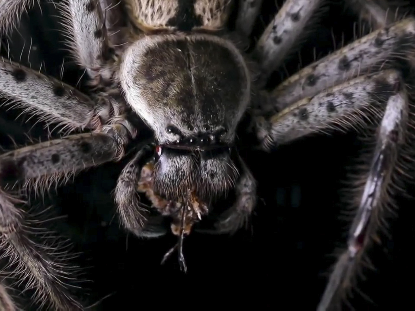 Prime Video: Strange Evidence - Season 2