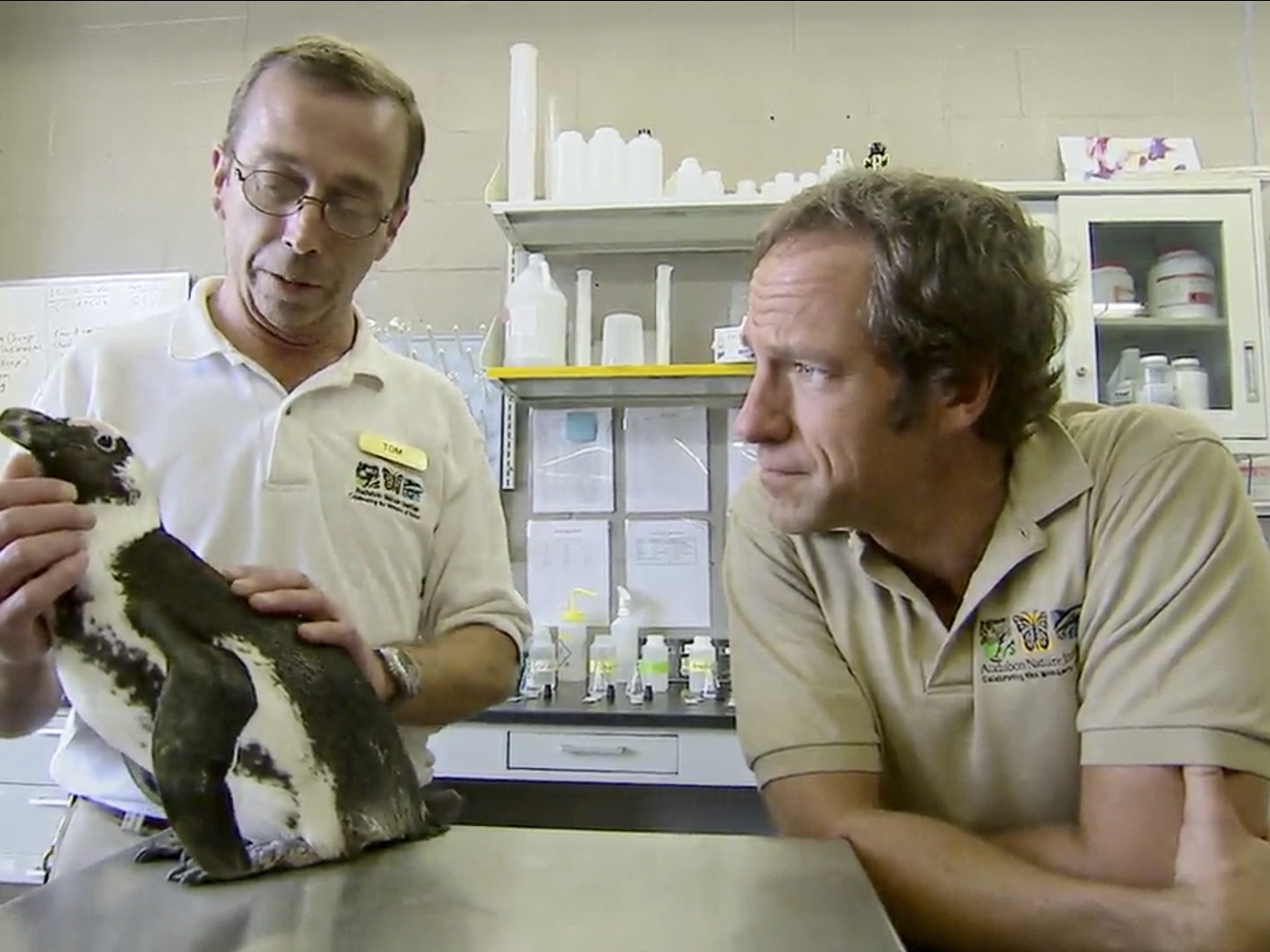 Prime Video: Dirty Jobs - Season 2