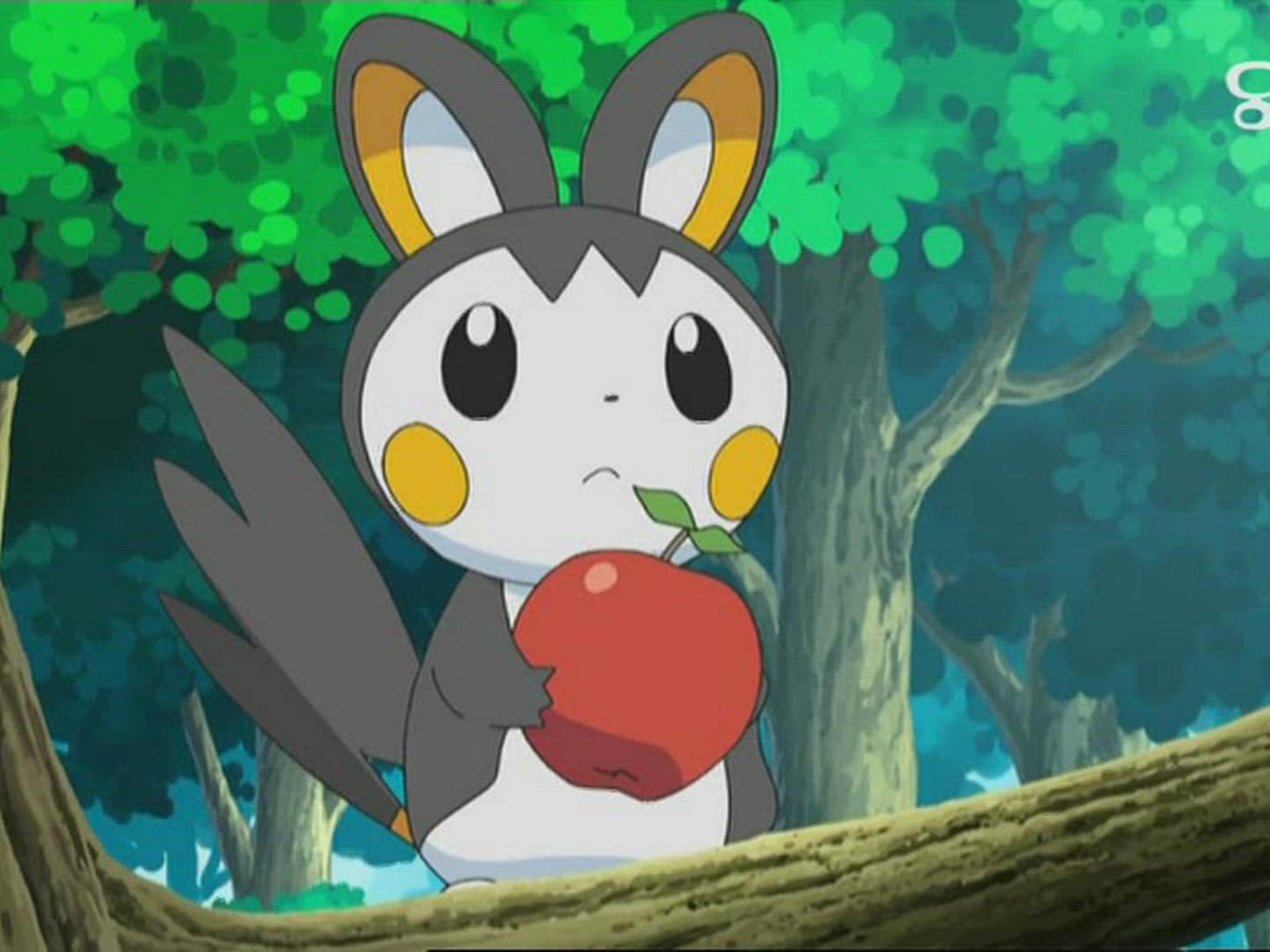 Prime Video: Pokémon - Saison 14