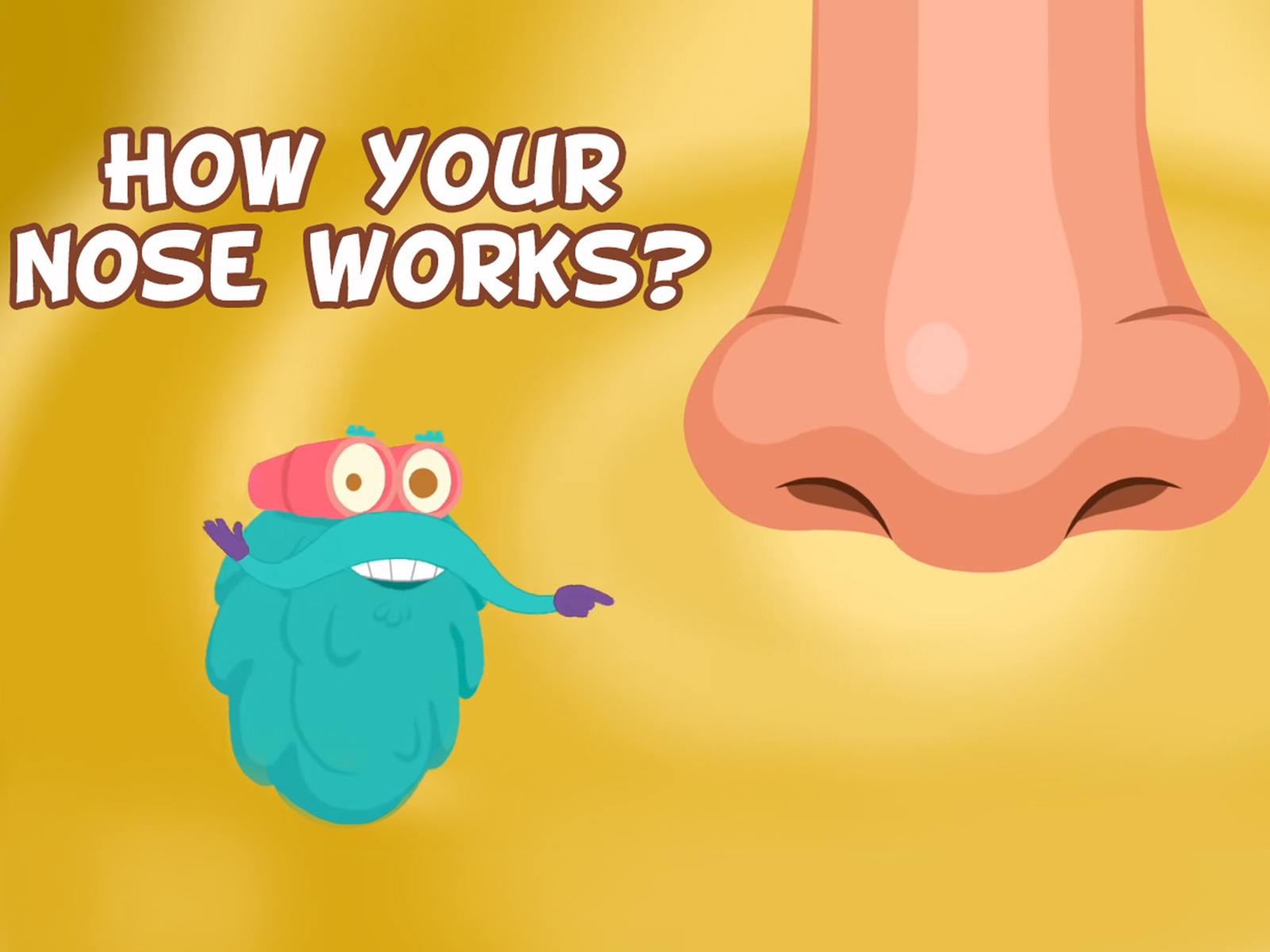 Prime Video: The Dr. Binocs Show