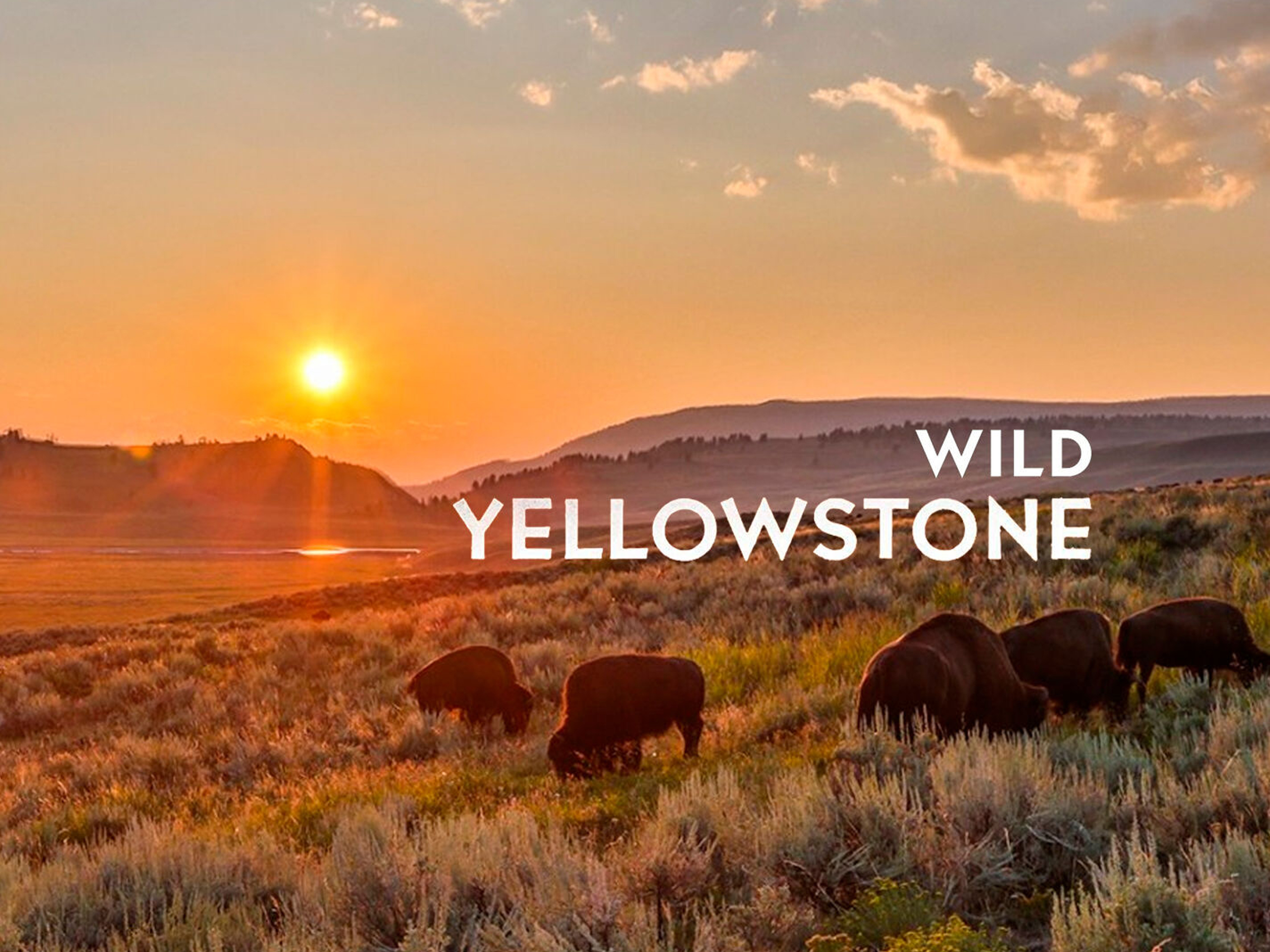 Prime Video: Temporada 1